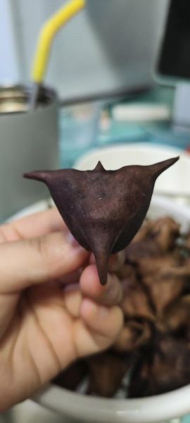 菱角的寓意和象征_菱角代表什么-第2张图片-山城妙识