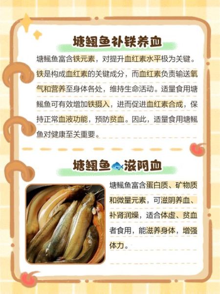 塘鲺鱼怎么做好吃_塘鲺鱼去腥小窍门-第1张图片-山城妙识