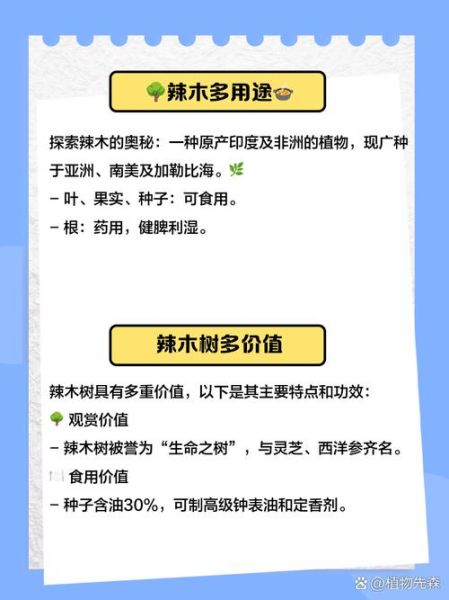 辣木树的功效与作用_辣木树怎么种植-第2张图片-山城妙识 辣木树的功效与作用_辣木树怎么种植-第2张图片-山城妙识