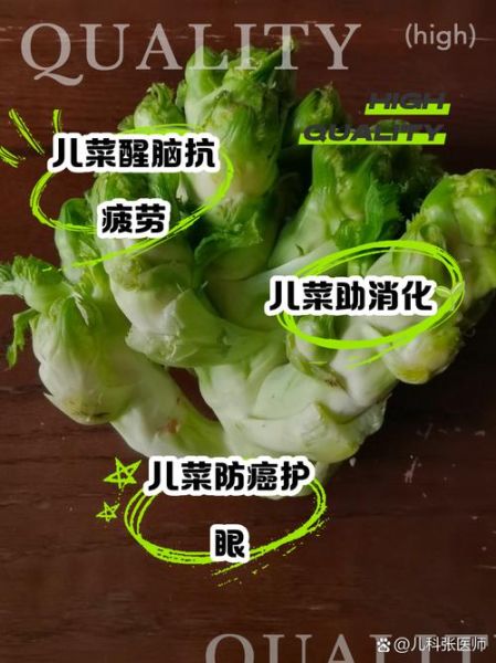 儿菜的功效与作用_儿菜怎么吃最营养-第1张图片-山城妙识 儿菜的功效与作用_儿菜怎么吃最营养-第1张图片-山城妙识