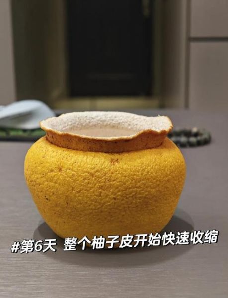 柚子皮有什么用处_柚子皮怎么利用-第2张图片-山城妙识 柚子皮有什么用处_柚子皮怎么利用-第2张图片-山城妙识
