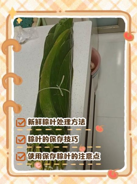 粽叶怎么做好吃_粽叶怎么处理才香-第1张图片-山城妙识