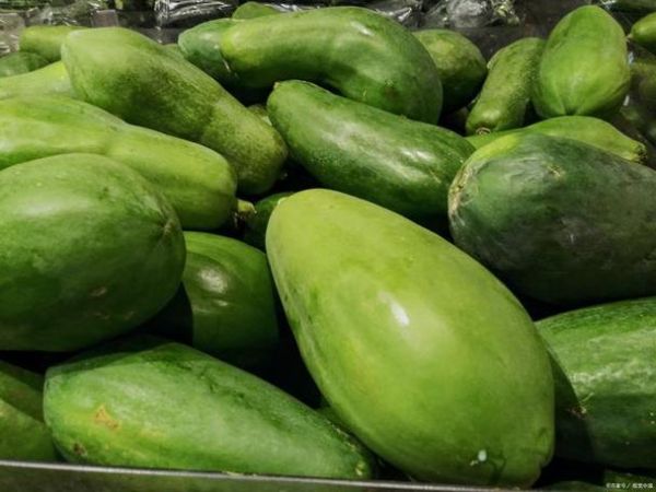 青木瓜丰胸怎么吃_青木瓜丰胸的最佳吃法-第3张图片-山城妙识