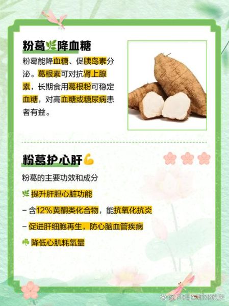 粉葛的功效与作用_粉葛主治哪些疾病-第2张图片-山城妙识