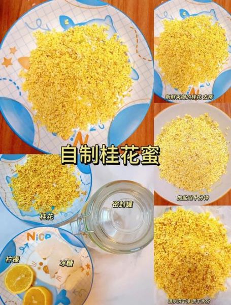 桂花蜜怎么做_桂花蜜图片真实展示-第2张图片-山城妙识