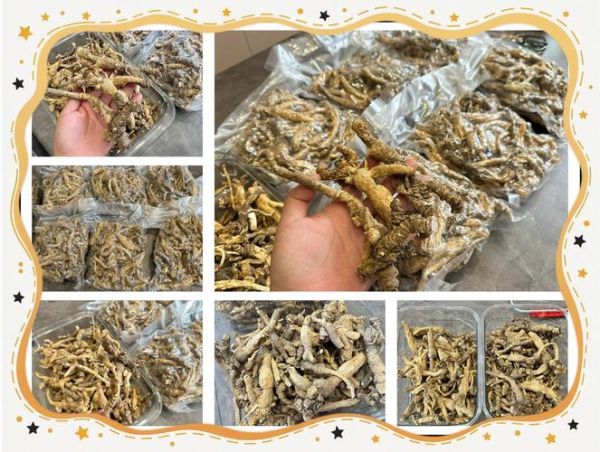 沙参玉竹的功效与作用禁忌_适合人群与注意事项-第2张图片-山城妙识