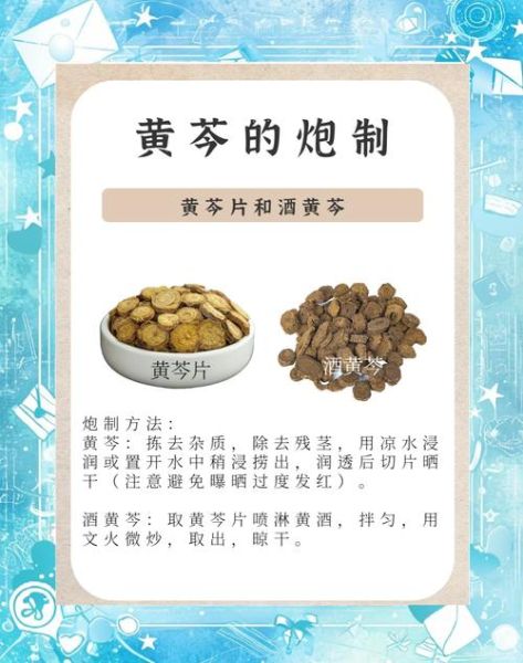 黄芩汤组成是什么_黄芩汤功效与作用-第2张图片-山城妙识