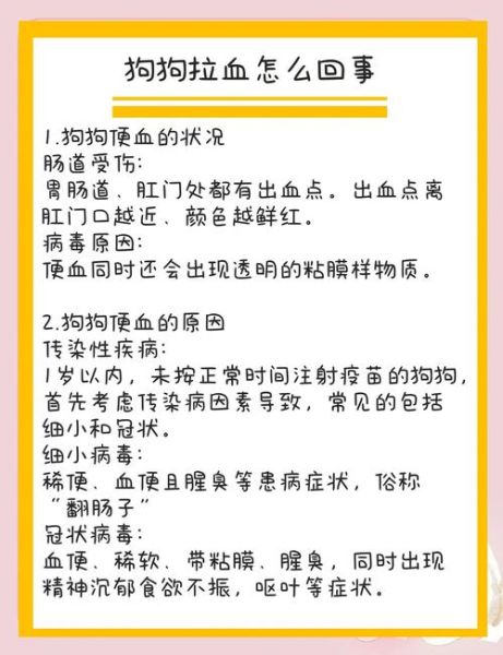 拉粑粑出血是什么原因_拉粑粑出血怎么办-第2张图片-山城妙识