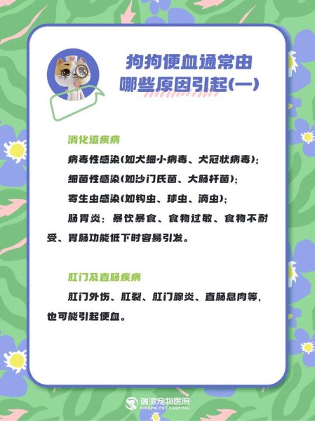 拉粑粑出血是什么原因_拉粑粑出血怎么办-第3张图片-山城妙识