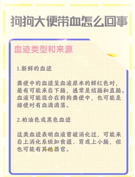 拉粑粑出血是什么原因_拉粑粑出血怎么办-第1张图片-山城妙识