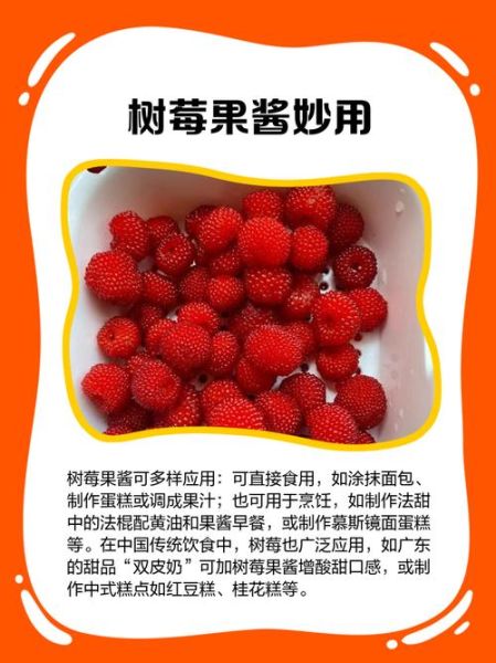 树莓果酱籽太多怎么处理_如何减少树莓籽影响口感-第1张图片-山城妙识 树莓果酱籽太多怎么处理_如何减少树莓籽影响口感-第1张图片-山城妙识