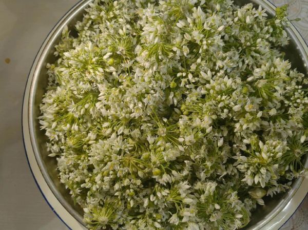 韭菜花怎么腌制不变色_韭菜花腌制不变色窍门-第1张图片-山城妙识 韭菜花怎么腌制不变色_韭菜花腌制不变色窍门-第1张图片-山城妙识