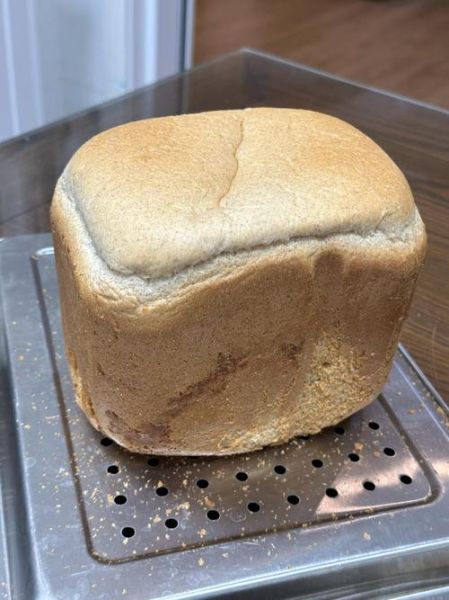 东菱面包机松软面包怎么做_为什么总是发不起来-第2张图片-山城妙识