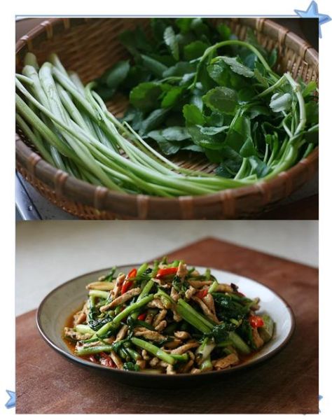 水芹菜的功效与作用_水芹菜怎么做好吃-第2张图片-山城妙识