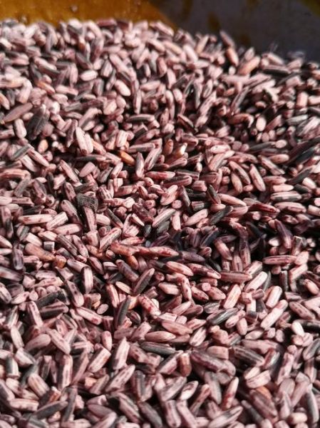 紫糯米和血糯米的区别_哪个更好-第2张图片-山城妙识