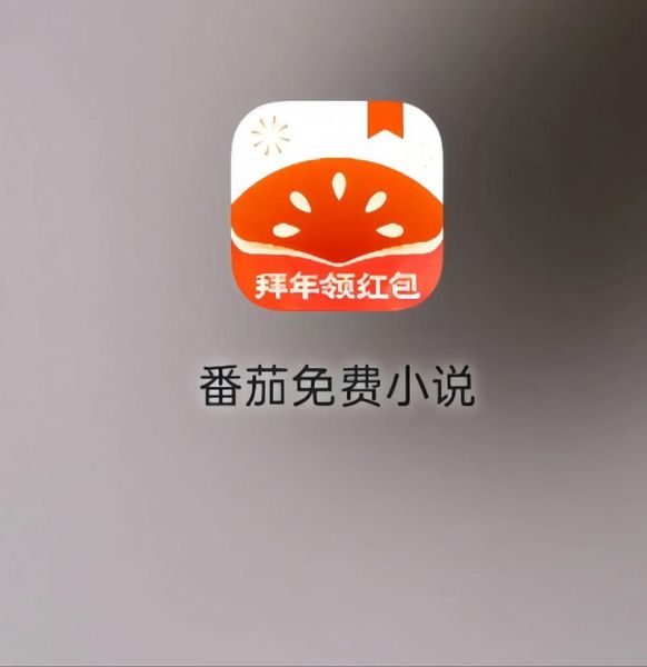 番茄免费阅读小说下载免费_如何不花钱看全本-第1张图片-山城妙识