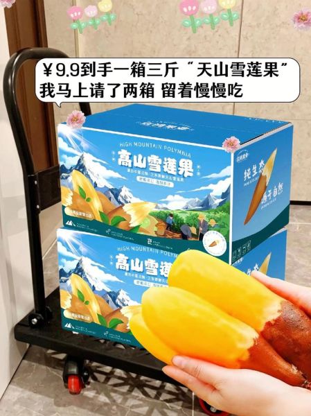 真正天山雪莲什么价_天山雪莲多少钱一克-第2张图片-山城妙识