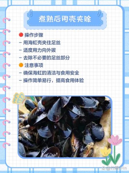 海虹哪个部位不能吃_内脏团和足丝图解-第1张图片-山城妙识