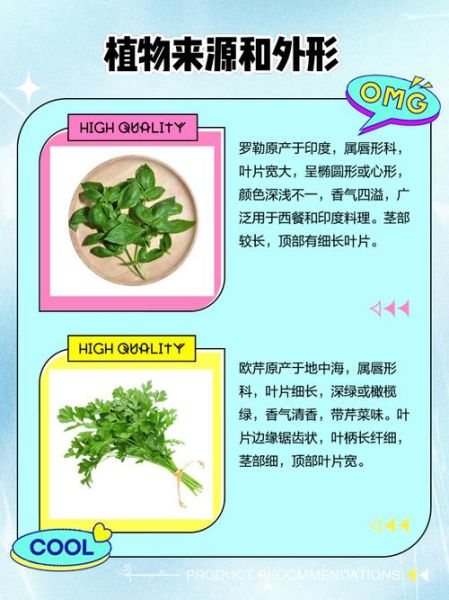 罗勒和迷迭香怎么用_欧芹和百里香怎么区分-第1张图片-山城妙识 罗勒和迷迭香怎么用_欧芹和百里香怎么区分-第1张图片-山城妙识