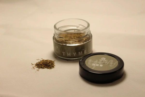 罗勒和迷迭香怎么用_欧芹和百里香怎么区分-第3张图片-山城妙识 罗勒和迷迭香怎么用_欧芹和百里香怎么区分-第3张图片-山城妙识