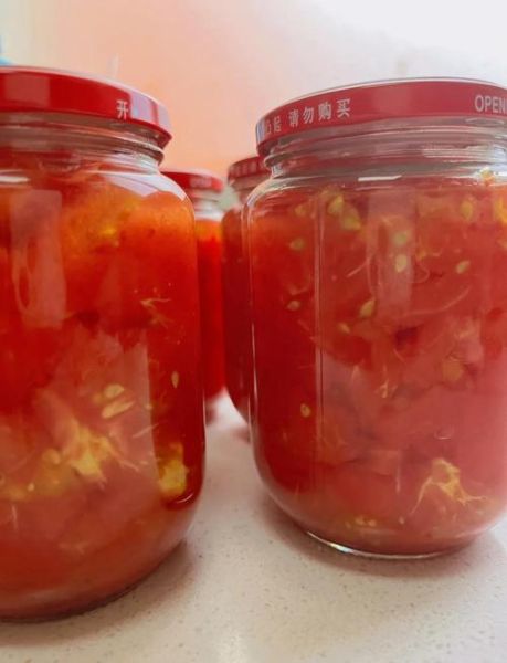 西红柿酱怎么熬制_西红柿酱熬制需要多久-第3张图片-山城妙识