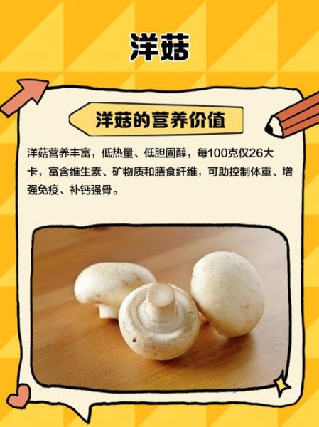 洋菇图片怎么拍_洋菇高清图鉴哪里找-第1张图片-山城妙识 洋菇图片怎么拍_洋菇高清图鉴哪里找-第1张图片-山城妙识