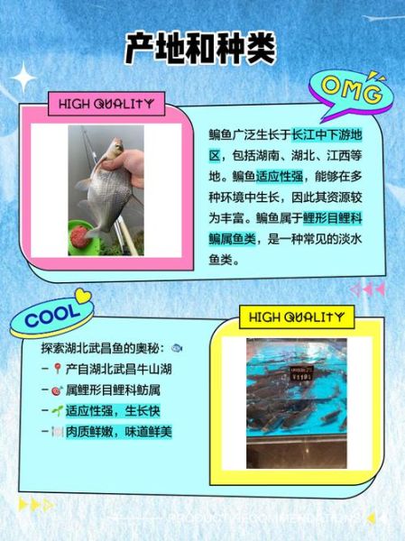 鳊鱼是武昌鱼吗_武昌鱼与鳊鱼的区别-第2张图片-山城妙识