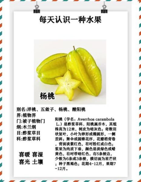 杨桃什么人不能吃_肾病患者能吃杨桃吗-第1张图片-山城妙识 杨桃什么人不能吃_肾病患者能吃杨桃吗-第1张图片-山城妙识