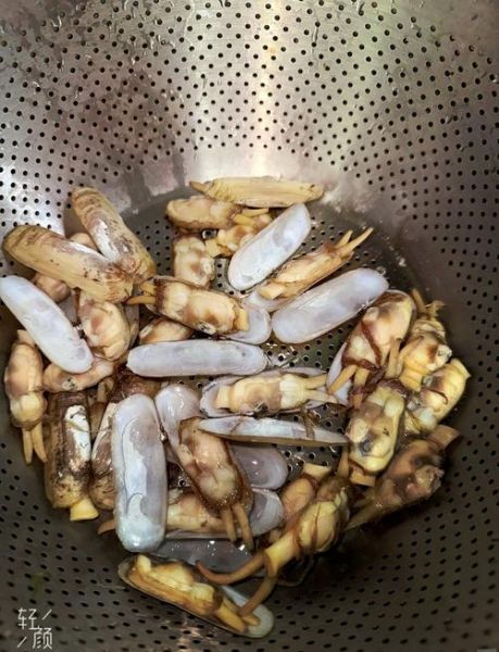 蛏子汤怎么煮_蛏子汤要不要焯水-第1张图片-山城妙识