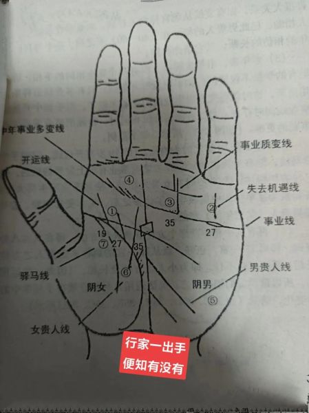 看手就知道_手相能看出什么-第3张图片-山城妙识 看手就知道_手相能看出什么-第3张图片-山城妙识