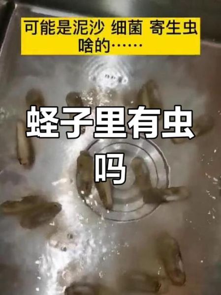 蛏子寄生虫图片_蛏子寄生虫能吃吗-第2张图片-山城妙识
