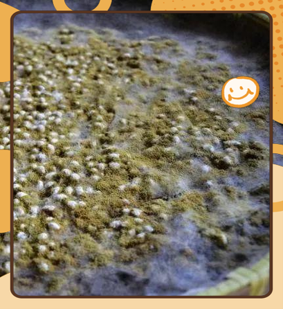 在家怎样做黄豆酱_黄豆酱发酵失败怎么办-第1张图片-山城妙识