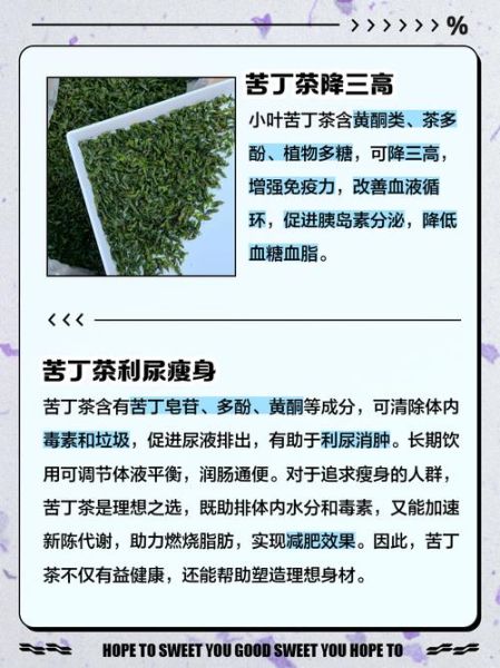 苦丁茶什么人不能喝_三种禁忌人群-第3张图片-山城妙识