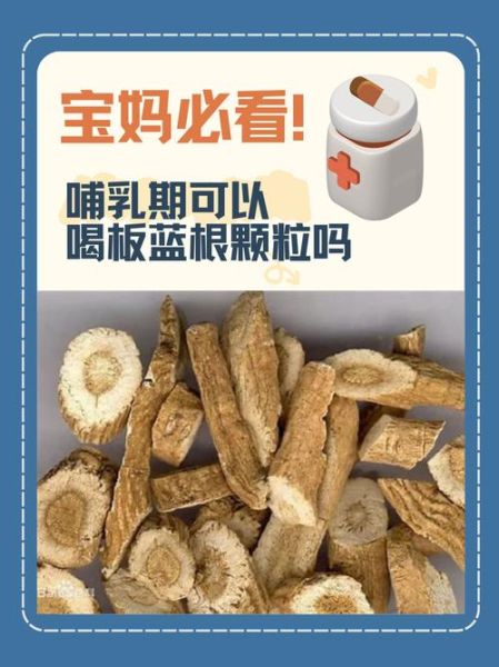 板蓝根治感冒吗_板蓝根颗粒什么时候喝-第3张图片-山城妙识 板蓝根治感冒吗_板蓝根颗粒什么时候喝-第3张图片-山城妙识