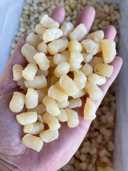 干贝怎么泡发_干贝蒸多久才入味-第1张图片-山城妙识 干贝怎么泡发_干贝蒸多久才入味-第1张图片-山城妙识