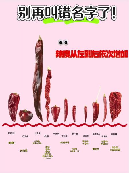 辣椒种子新旧区别_如何辨别好坏-第1张图片-山城妙识