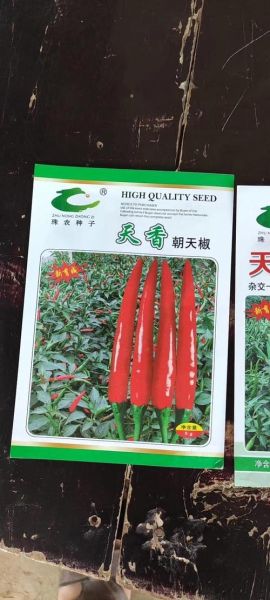 辣椒种子新旧区别_如何辨别好坏-第3张图片-山城妙识