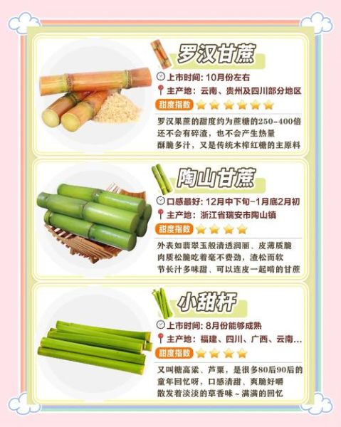 吃甘蔗有什么好处_甘蔗的功效与作用-第1张图片-山城妙识 吃甘蔗有什么好处_甘蔗的功效与作用-第1张图片-山城妙识