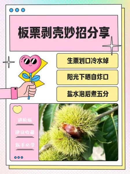 剥栗子皮的小妙招_生栗子怎么去皮最快-第1张图片-山城妙识 剥栗子皮的小妙招_生栗子怎么去皮最快-第1张图片-山城妙识