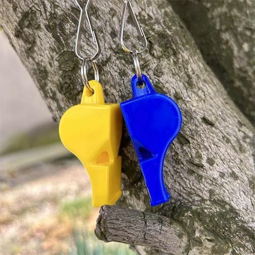 哨子图片大全_哨子种类有哪些-第1张图片-山城妙识