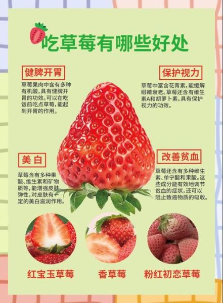 草莓的功效与作用_草莓吃多了有什么害处-第1张图片-山城妙识