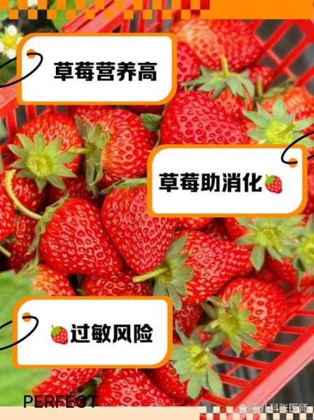 草莓的功效与作用_草莓吃多了有什么害处-第3张图片-山城妙识