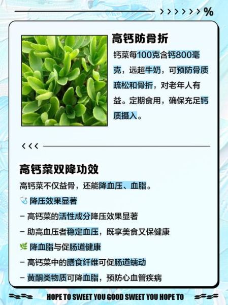 钙菜的功效与作用_钙菜怎么吃最补钙-第1张图片-山城妙识