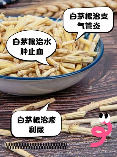 白茅根的功效与作用_白茅根能长期泡水喝吗-第3张图片-山城妙识 白茅根的功效与作用_白茅根能长期泡水喝吗-第3张图片-山城妙识