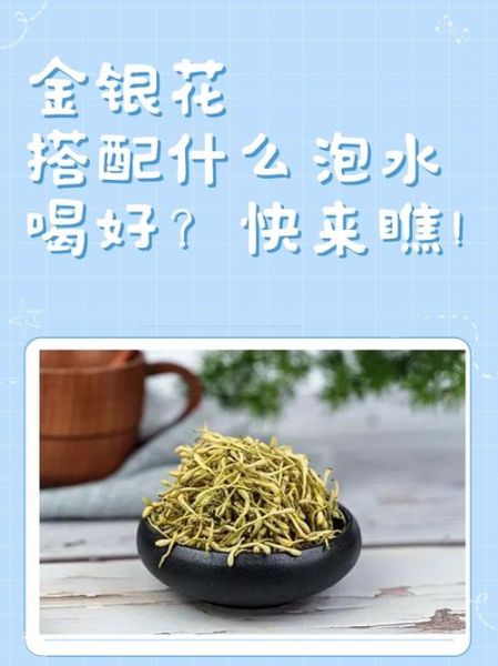 金银花图片功效和作用_金银花泡水喝有哪些禁忌-第2张图片-山城妙识 金银花图片功效和作用_金银花泡水喝有哪些禁忌-第2张图片-山城妙识