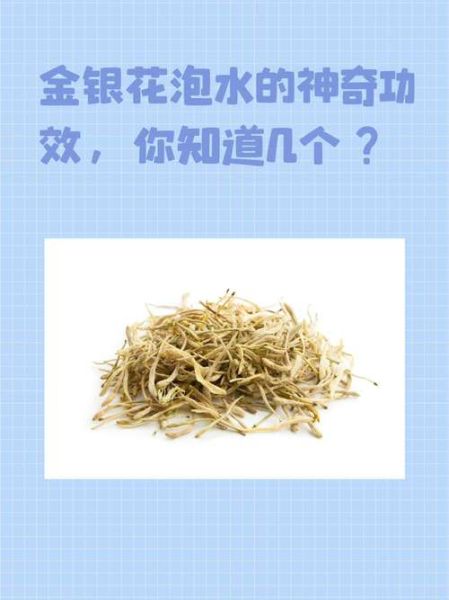 金银花图片功效和作用_金银花泡水喝有哪些禁忌-第3张图片-山城妙识 金银花图片功效和作用_金银花泡水喝有哪些禁忌-第3张图片-山城妙识