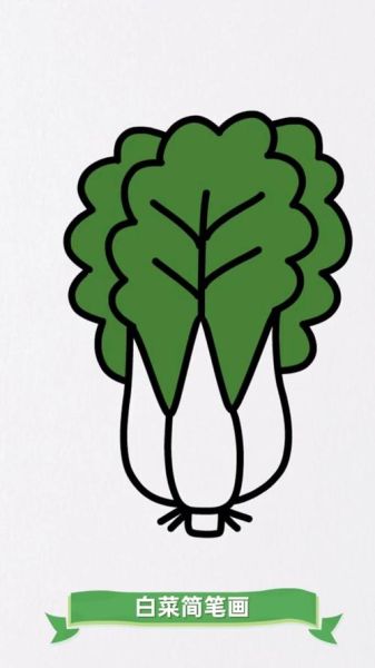 小白菜卡通可爱图片_怎么画-第2张图片-山城妙识 小白菜卡通可爱图片_怎么画-第2张图片-山城妙识