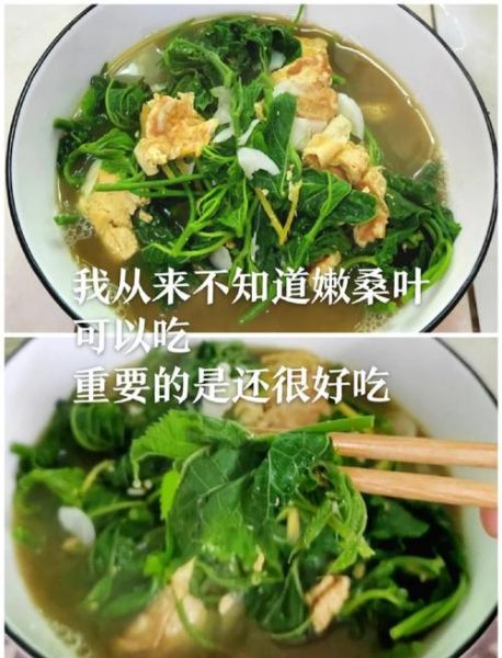 桑叶怎么做好吃_桑叶的做法大全-第1张图片-山城妙识