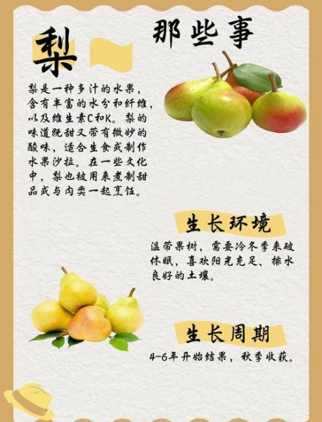 每天吃一个梨有害处吗_长期吃梨的副作用-第1张图片-山城妙识