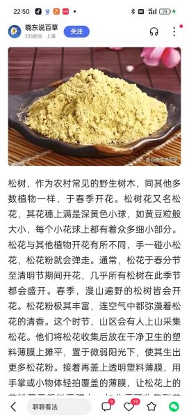 松花粉片的功效与作用_松花粉片怎么吃-第3张图片-山城妙识